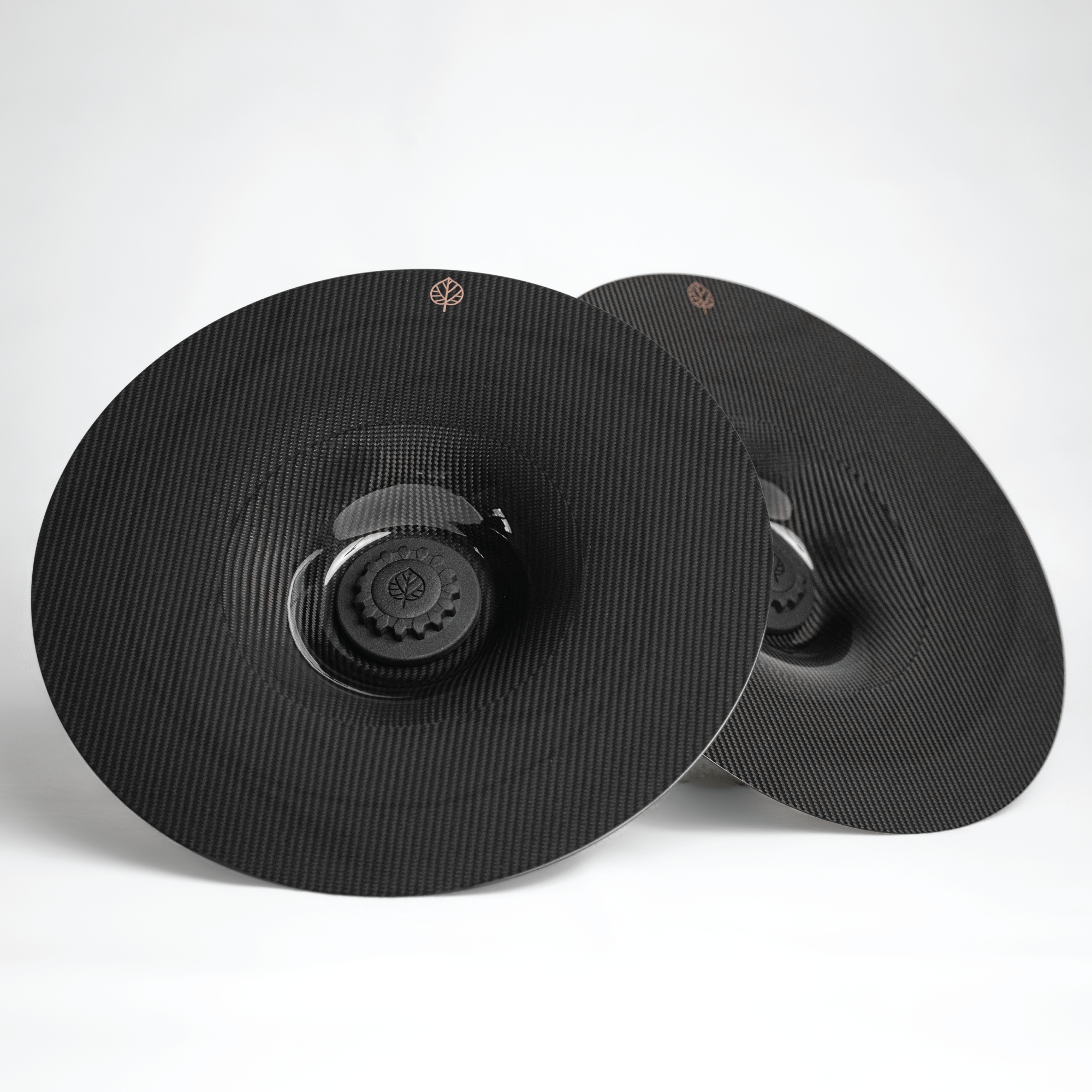 Gold Leaf │ CARBON FIBER AERO DISCS EVO for Mercedes AMG GT Black Seri ...
